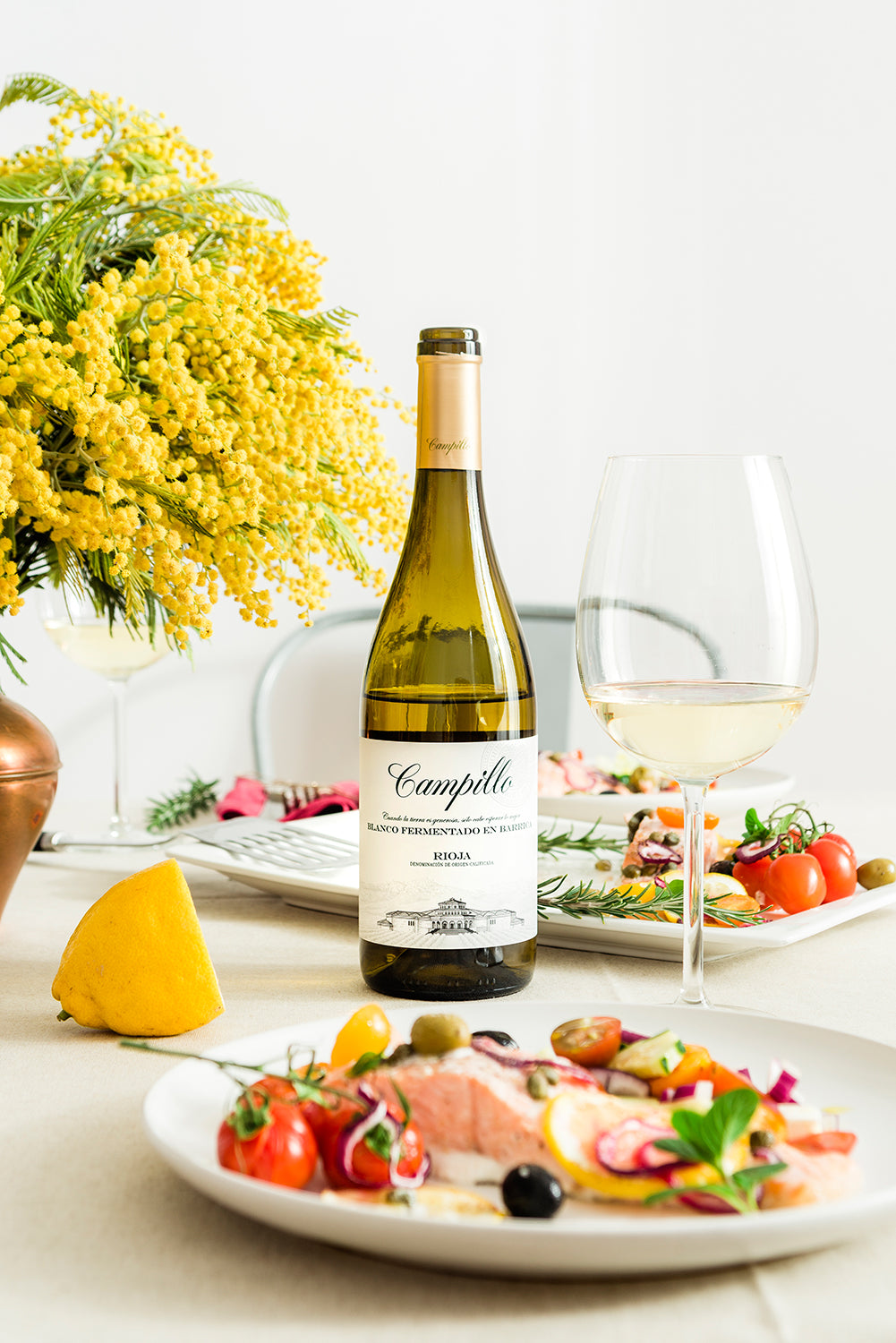 Campillo Blanco Fermentado- Decanter 90 points – TRINKS